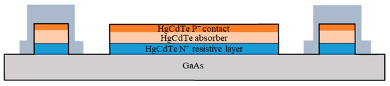 LWIR Lateral Effect Position Sensitive HgCdTe Photodetector at 205 K