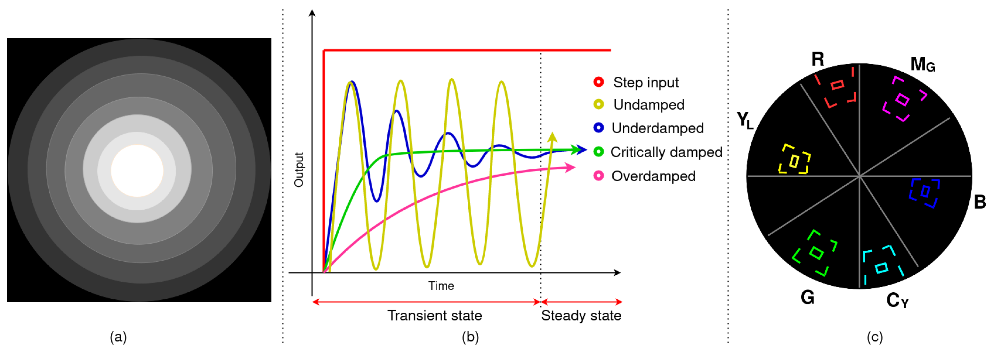 Methodological Considerations for Assessing Automatic Brightness ...