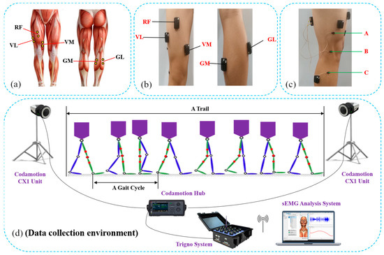 Sensors | Free Full-Text | Estimation of Knee Joint Angle from Surface EMG Using Multiple ...