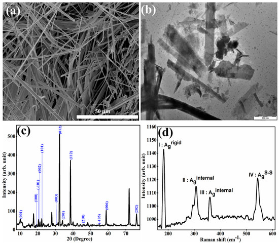 TiS3 Nanoribbons: A Novel Material for Ultra-Sensitive Photodetection ...