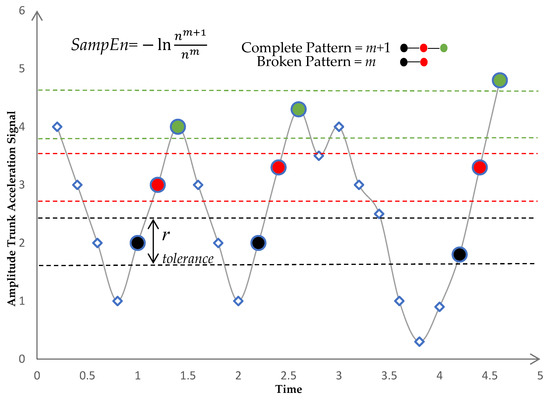 Multiscale Entropy Algorithms to Analyze Complexity and Variability of Trunk Accelerations Time ...