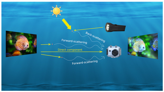 Autonomous Underwater Vehicles: Identifying Critical Issues and Future Perspectives in Image ...