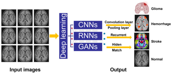 Deep Learning Aided Neuroimaging and Brain Regulation