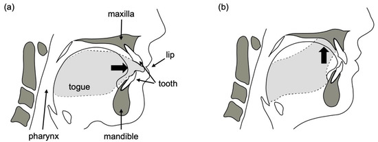 Real-Time Continuous Monitoring of Oral Soft Tissue Pressure with a ...