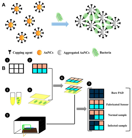Fluorescence-Based Portable Assays for Detection of Biological and ...