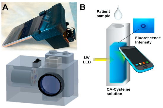 Fluorescence-Based Portable Assays for Detection of Biological and ...
