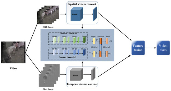 TSML: A New Pig Behavior Recognition Method Based on Two-Stream Mutual ...