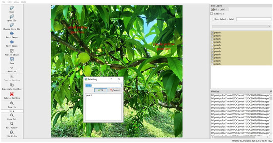 Sensors | Free Full-Text | YOLOv7-Peach: An Algorithm for Immature ...