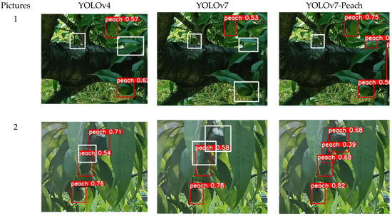 Sensors | Free Full-Text | YOLOv7-Peach: An Algorithm for Immature ...