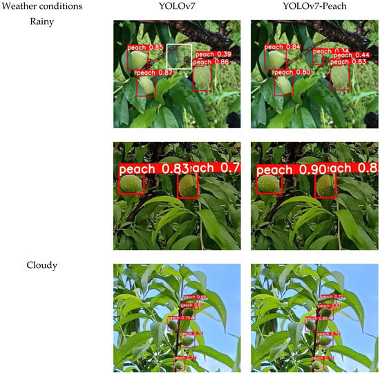 YOLOv7-Peach: An Algorithm for Immature Small Yellow Peaches Detection ...