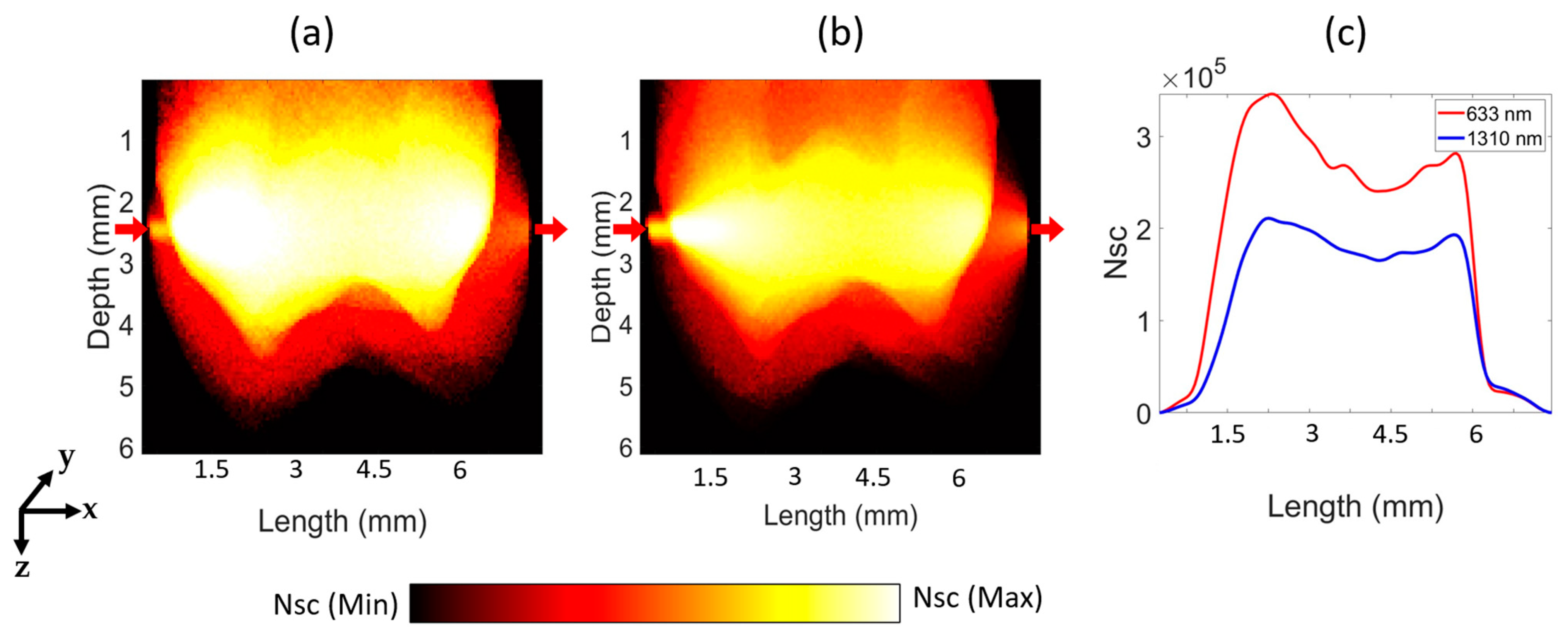 Monte Carlo Simulation of Diffuse Optical Spectroscopy for 3D Modeling ...