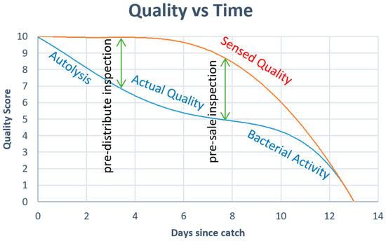 Rapid Assessment of Fish Freshness for Multiple Supply-Chain Nodes ...