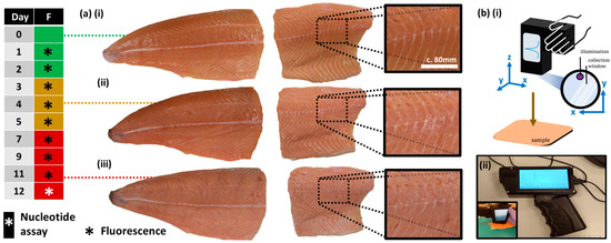 Rapid Assessment of Fish Freshness for Multiple Supply-Chain Nodes ...