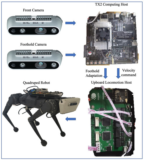 Hierarchical Vision Navigation System for Quadruped Robots with Foothold Adaptation Learning