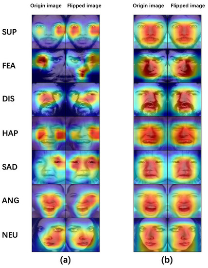 Hybrid Domain Consistency Constraints-Based Deep Neural Network for Facial Expression Recognition