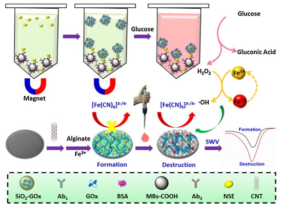 Anti-Fouling Strategies of Electrochemical Sensors for Tumor Markers
