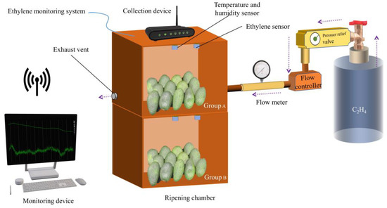 Response Characteristics Study of Ethylene Sensor for Fruit Ripening ...