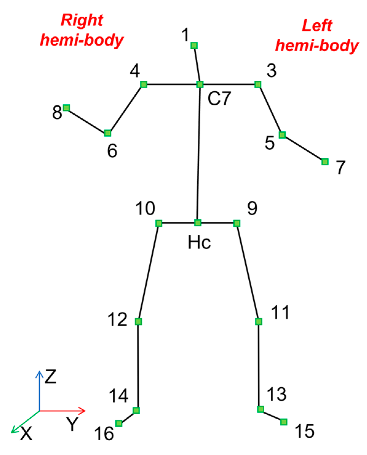 Recurrent Network Solutions for Human Posture Recognition Based on Kinect Skeletal Data