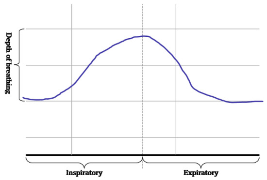 Detection of Multiple Respiration Patterns Based on 1D SNN from ...