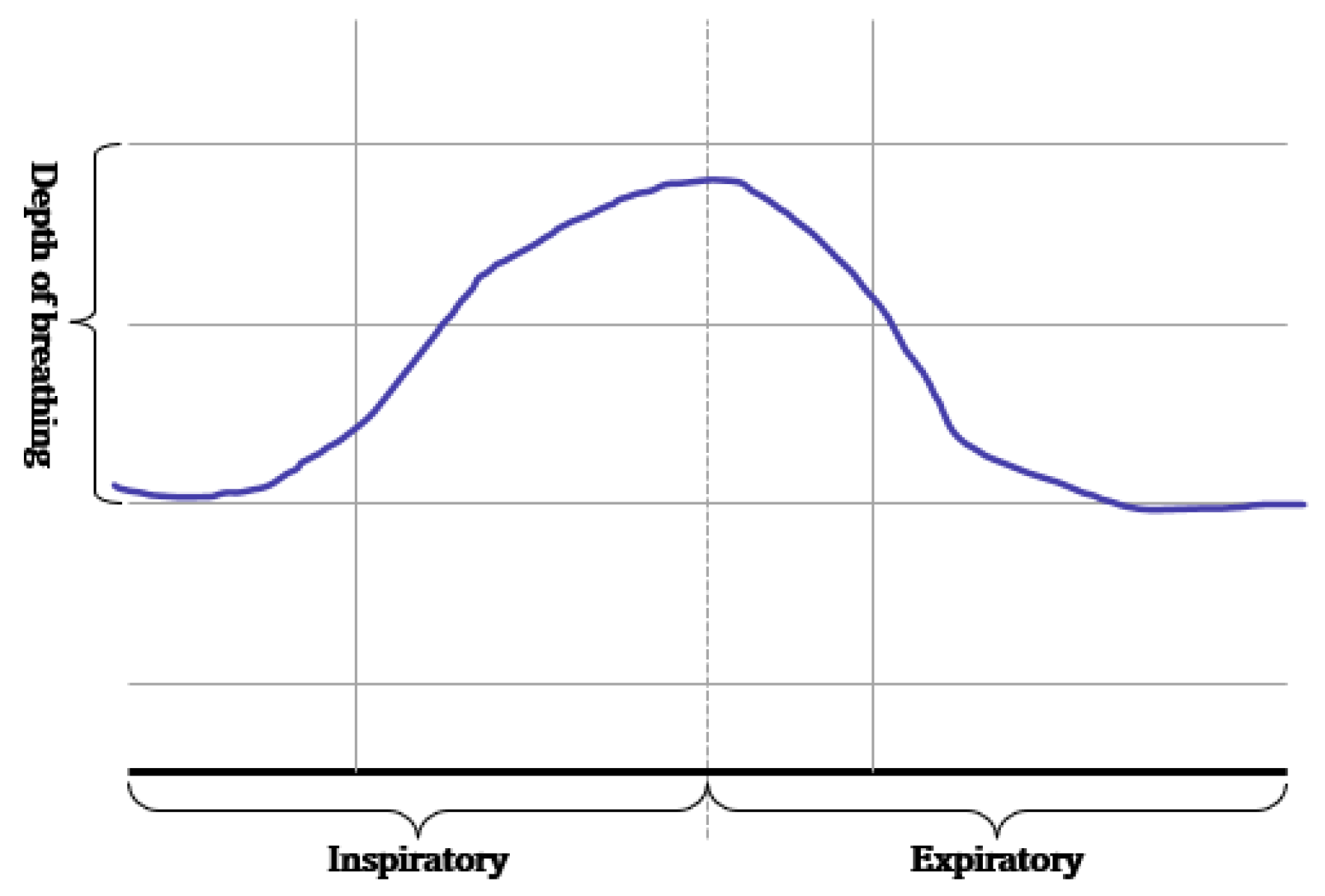 Detection of Multiple Respiration Patterns Based on 1D SNN from ...
