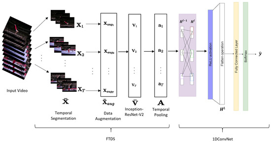 Fine-Tuned Temporal Dense Sampling with 1D Convolutional Neural Network for Human Action Recognition