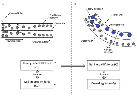 Recent Developments in Inertial and Centrifugal Microfluidic Systems along with the Involved ...