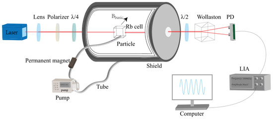 Recent Progress of Atomic Magnetometers for Geomagnetic Applications