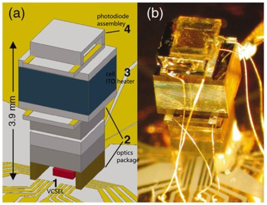 Recent Progress of Atomic Magnetometers for Geomagnetic Applications