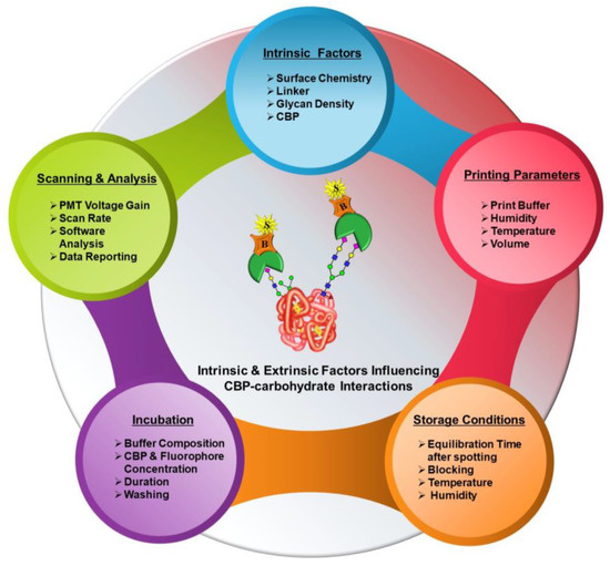 A Holistic 4D Approach to Optimize Intrinsic and Extrinsic Factors Contributing to Variability ...