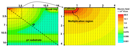 Avalanche Photodiodes and Silicon Photomultipliers of Non-Planar Designs