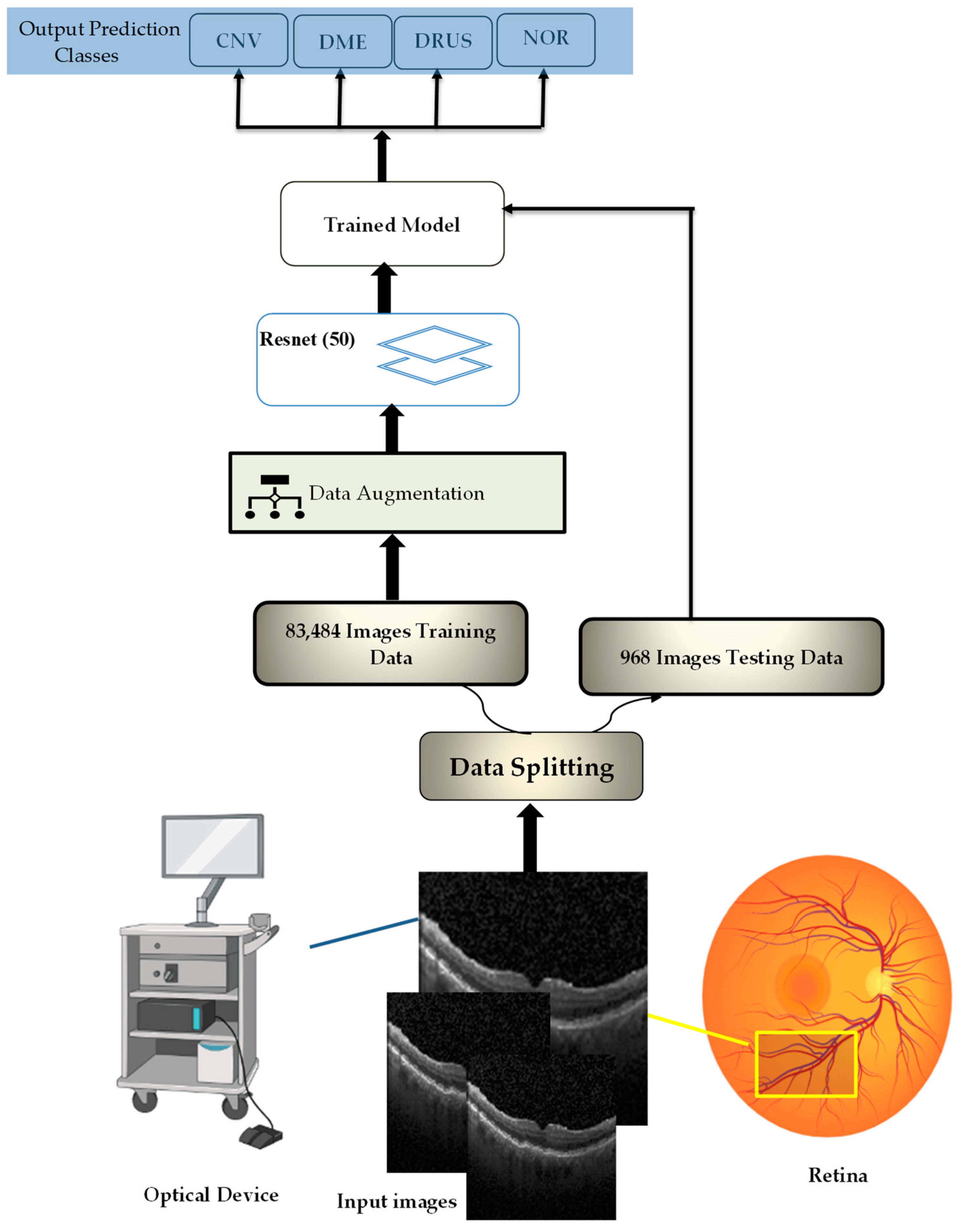 Enhanced Deep Learning Model for Classification of Retinal Optical Coherence Tomography Images