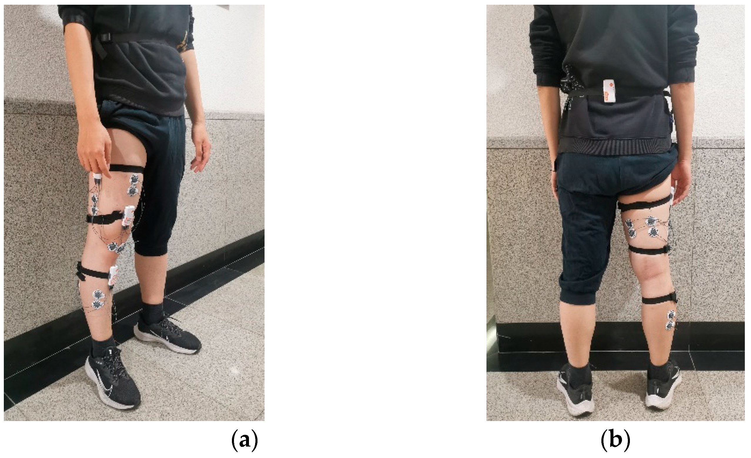 Prediction of Joint Angles Based on Human Lower Limb Surface Electromyography