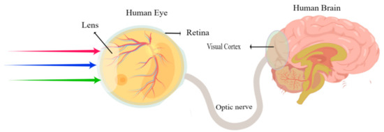 Emerging Memtransistors for Neuromorphic System Applications: A Review