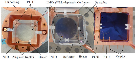 Li2100deplMoO4 Scintillating Bolometers for Rare-Event Search Experiments