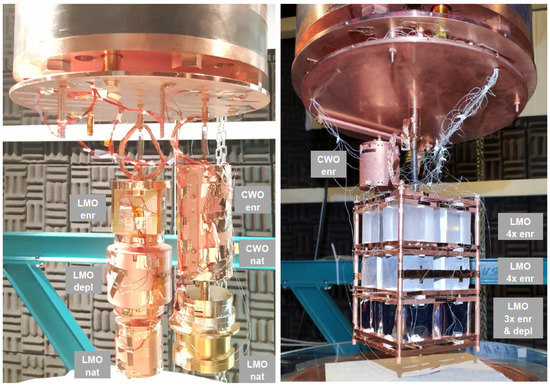 Li2100deplMoO4 Scintillating Bolometers for Rare-Event Search Experiments