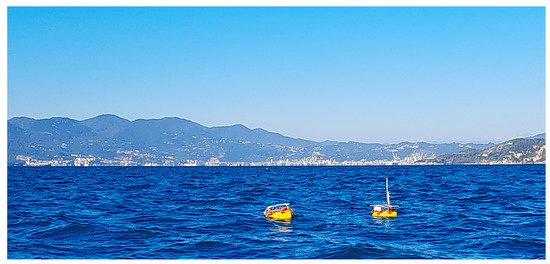 The Smart Drifter Cluster: Monitoring Sea Currents and Marine Litter ...