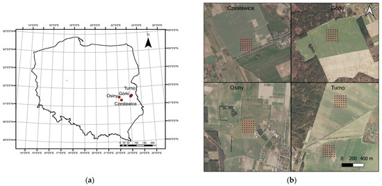 In Situ VIS-NIR Spectroscopy for a Basic and Rapid Soil Investigation