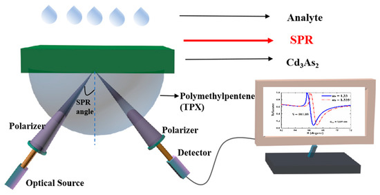 Sensitivity-Tunable Terahertz Liquid/Gas Biosensor Based on Surface Plasmon Resonance with Dirac ...