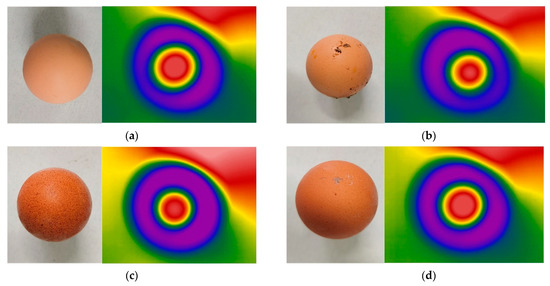 Nondestructive Detection of Egg Freshness Based on Infrared Thermal Imaging