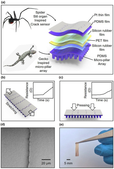 Crack-Based Sensor with Microstructures for Strain and Pressure Sensing