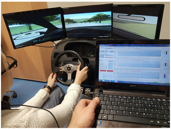 Sensor-Based Classification of Primary and Secondary Car Driver Activities Using Convolutional ...