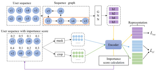 Graph Neural Network-Guided Contrastive Learning for Sequential ...