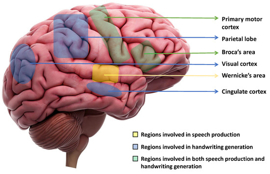 Machine-Learning Methods for Speech and Handwriting Detection Using ...