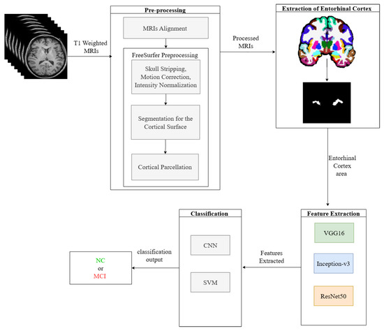 An Optimized Deep Learning Model for Predicting Mild Cognitive ...