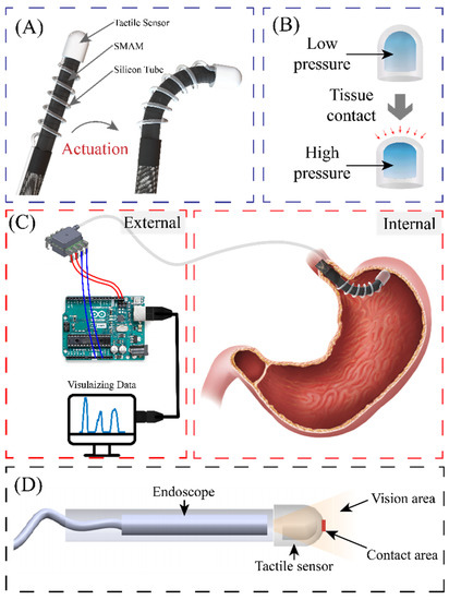 Transparent Pneumatic Tactile Sensors for Soft Biomedical Robotics