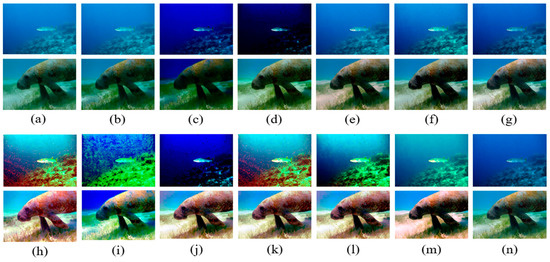 Enhancement and Optimization of Underwater Images and Videos Mapping