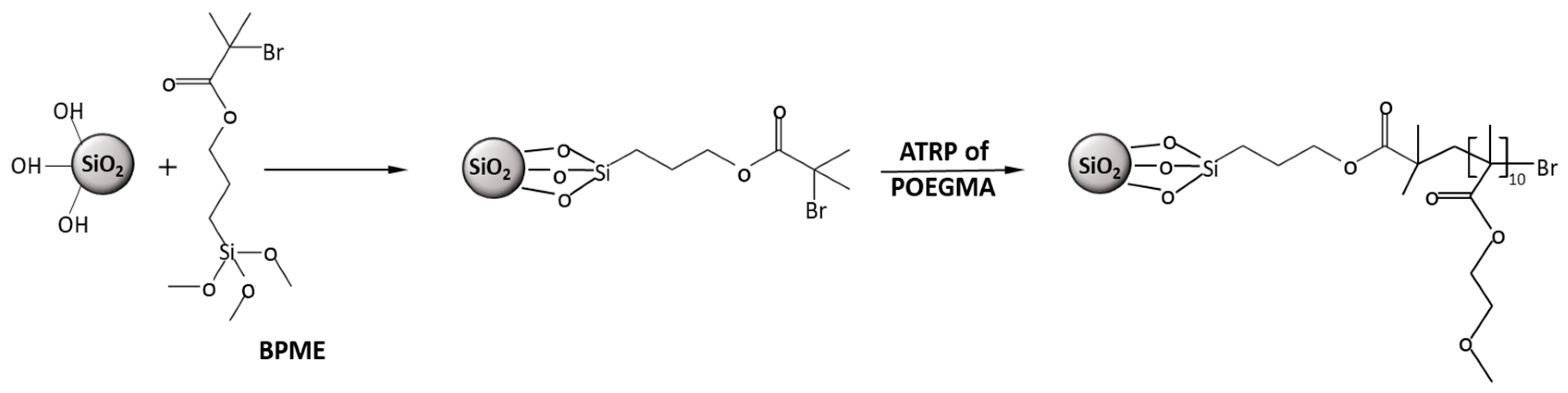 Characterizing Conformational Change of a Thermoresponsive Polymeric ...