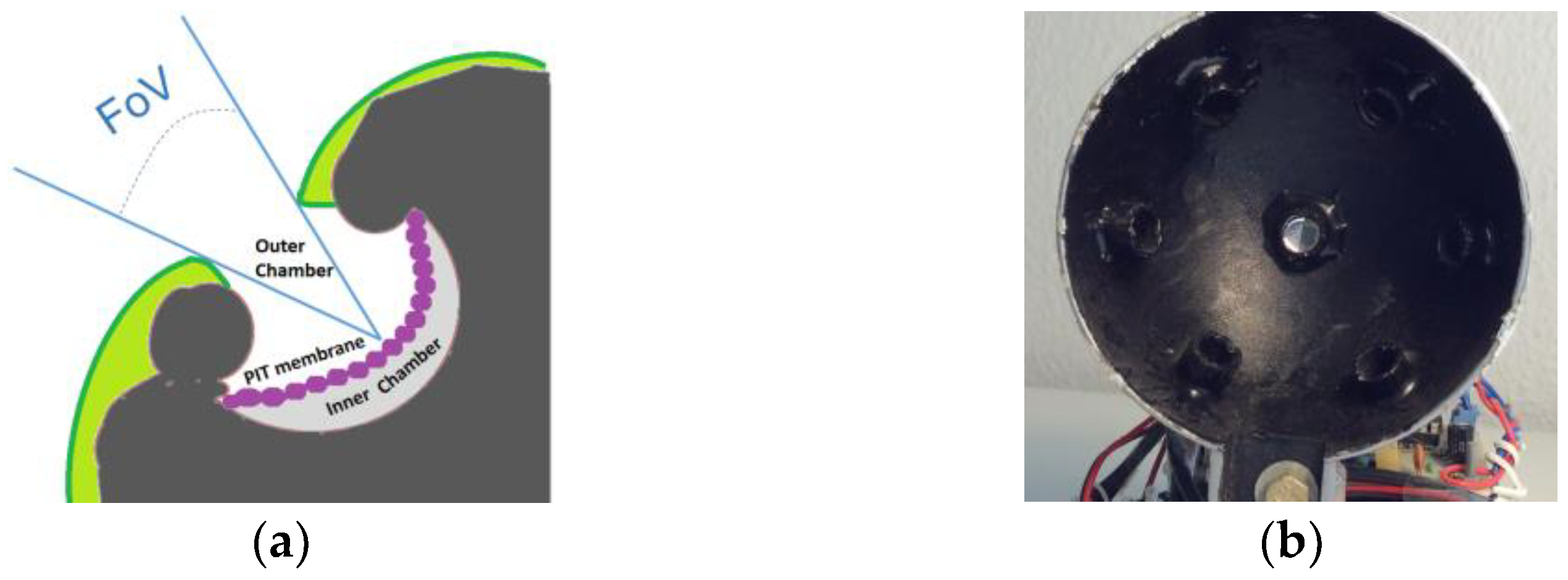 Exploiting the PIR Sensor Analog Behavior as Thermoreceptor: Movement ...