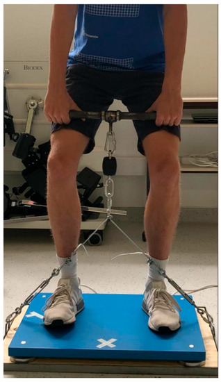 Validity and Reliability of a Load Cell Sensor-Based Device for ...