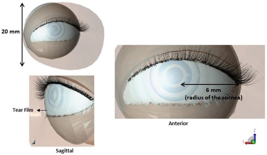 Sensors | Free Full-Text | The Effects of mmW and THz Radiation on Dry ...